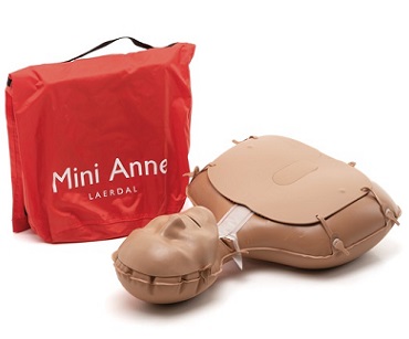 What is Mini Anne Plus?