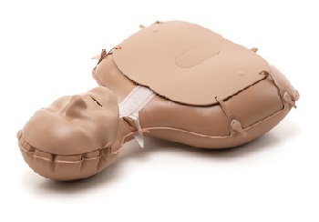 What is Mini Anne Plus?