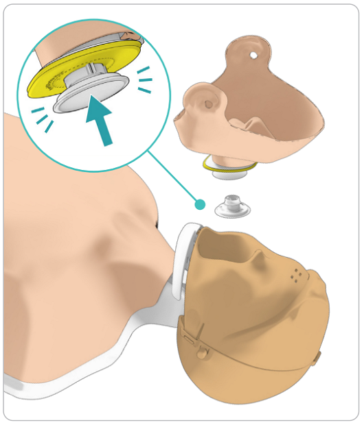 How does the airway filter work for Little Anne?