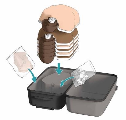 What is Little Anne?