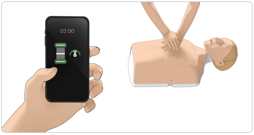 How does Little Anne work?